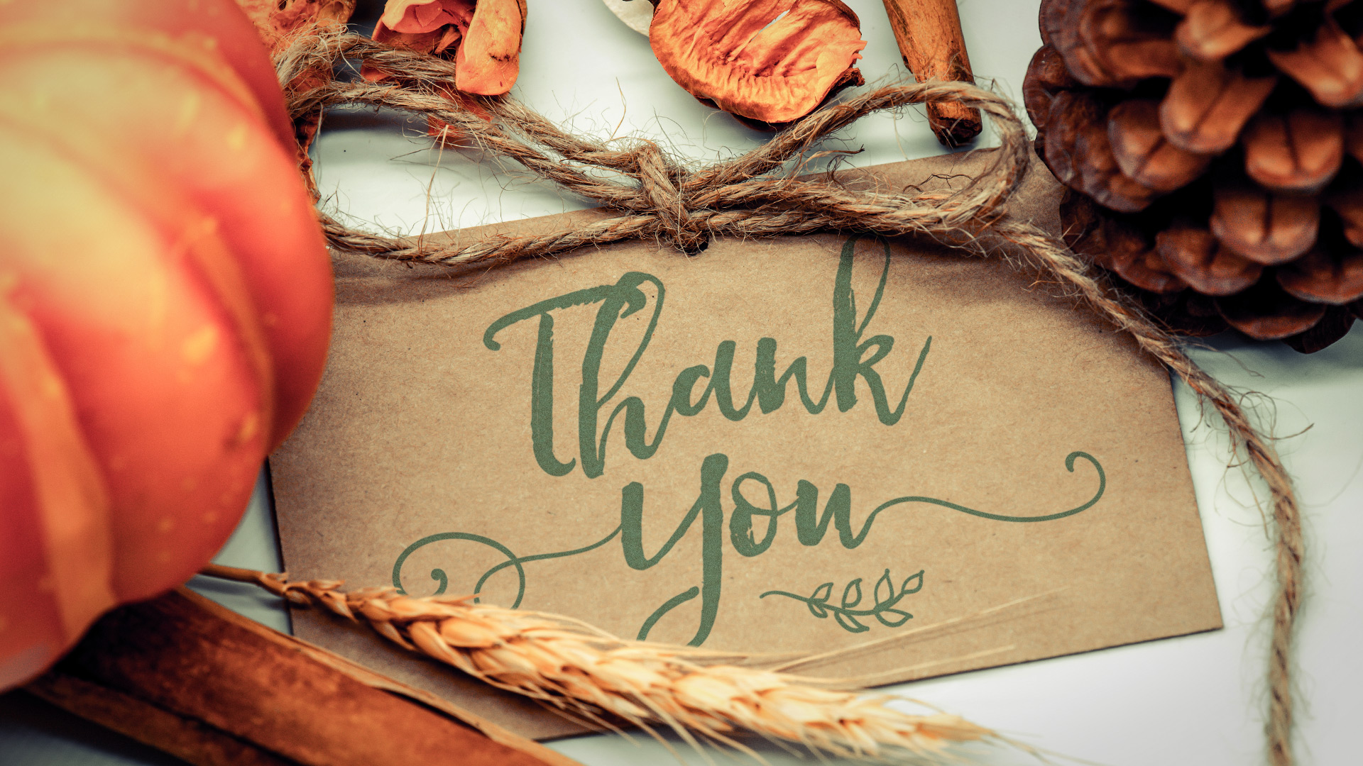 Read Riordan | The Official Home for Rick Riordan's Demigods